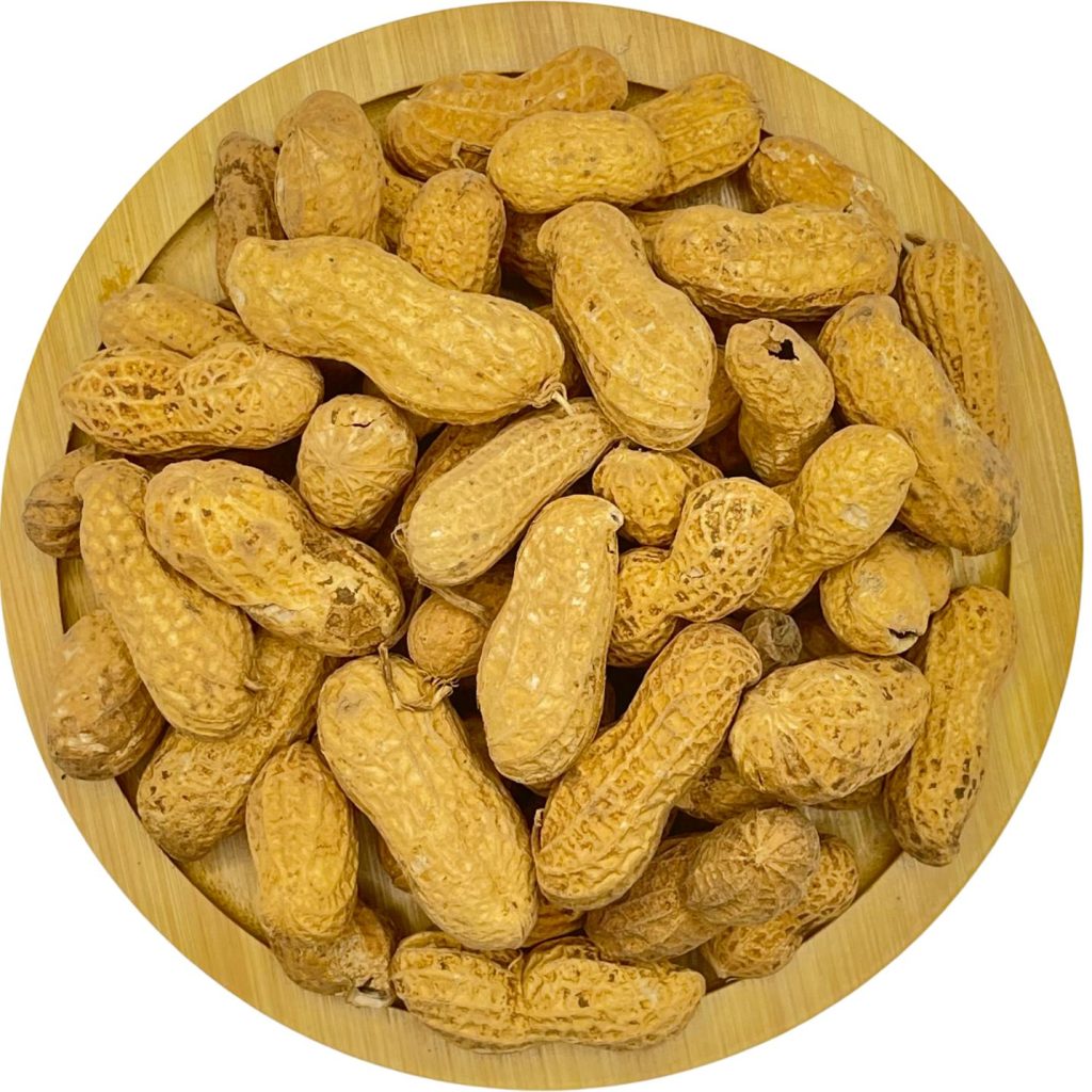 CACAHUATE NAYARIT – Campo Natural