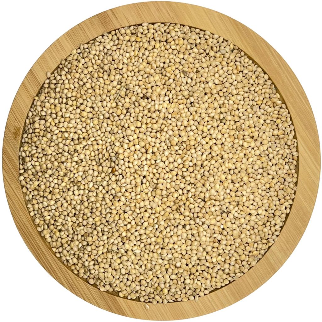 MIJO BLANCO – Campo Natural