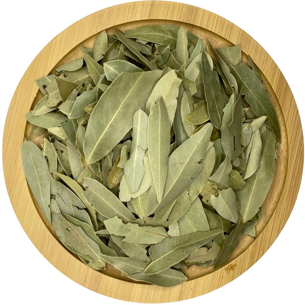 HOJA DE LAUREL – Campo Natural