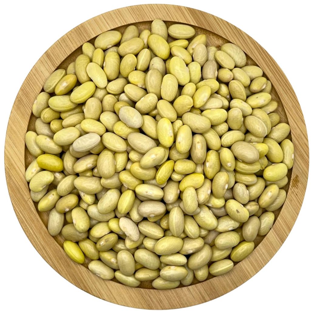 FRIJOL PERUANO – Campo Natural