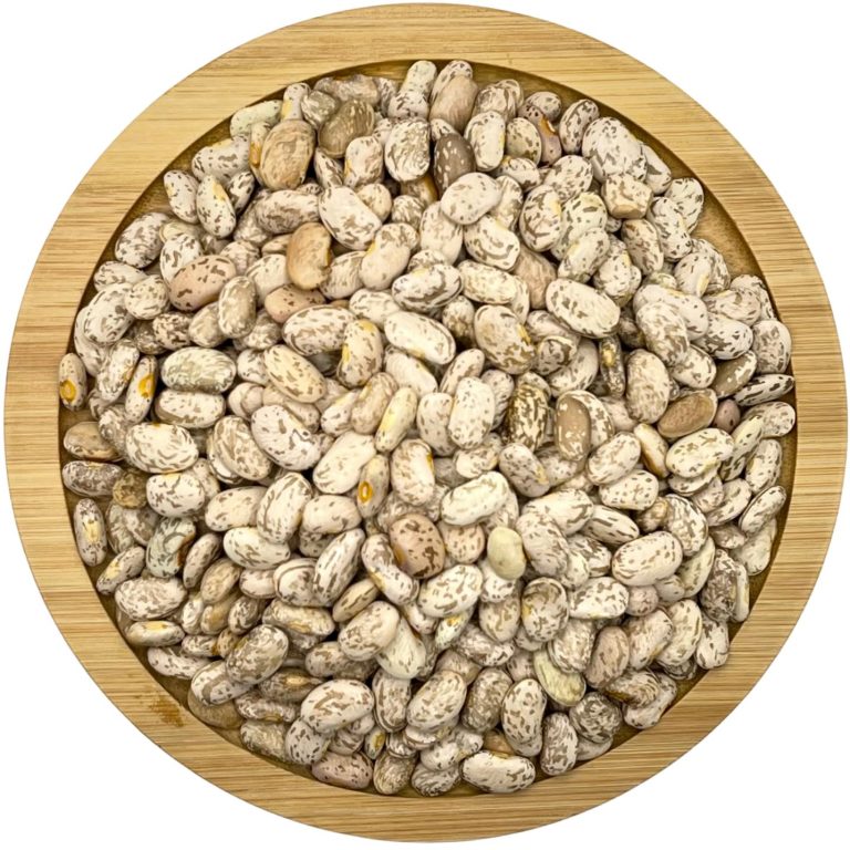 FRIJOL PINTO – Campo Natural