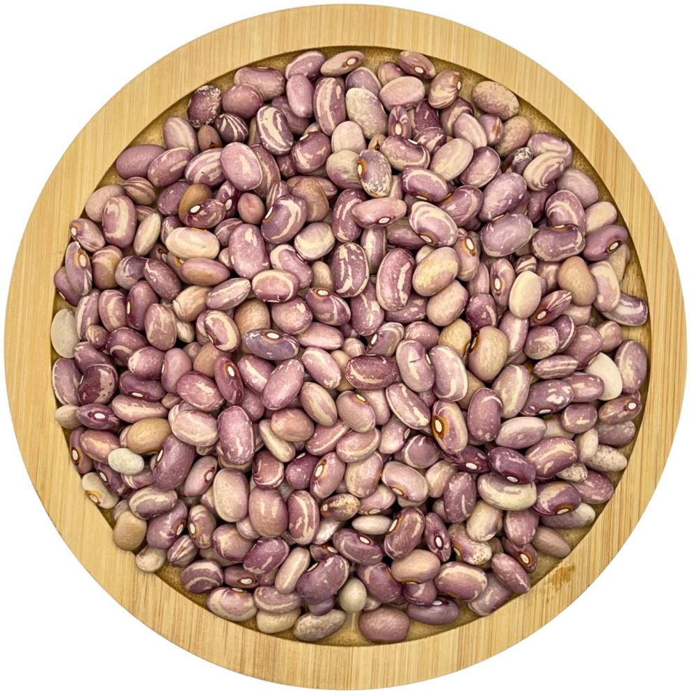 FRIJOL FLOR DE JUNIO – Campo Natural