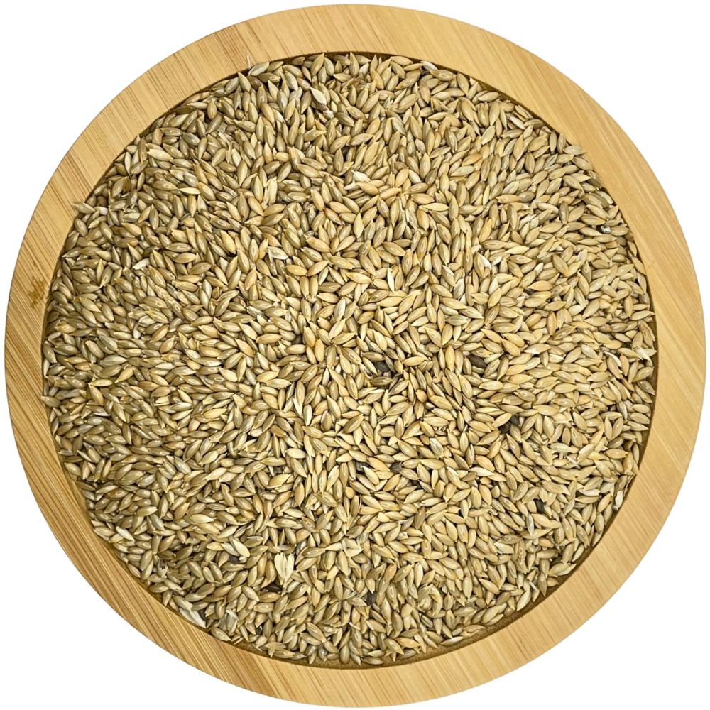 ALPISTE – Campo Natural