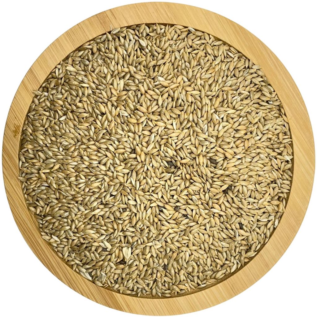 ALPISTE – Campo Natural