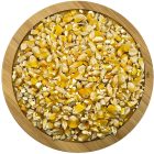 MAIZ QUEBRADO – Campo Natural