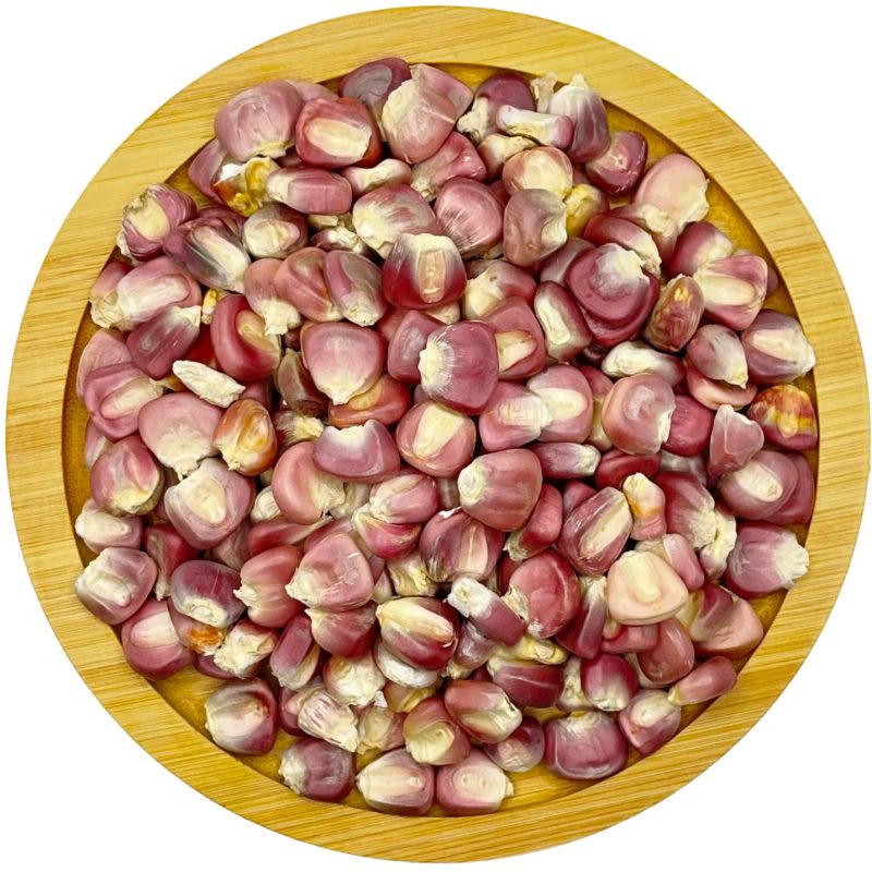 POZOLERO COLORADO – Campo Natural